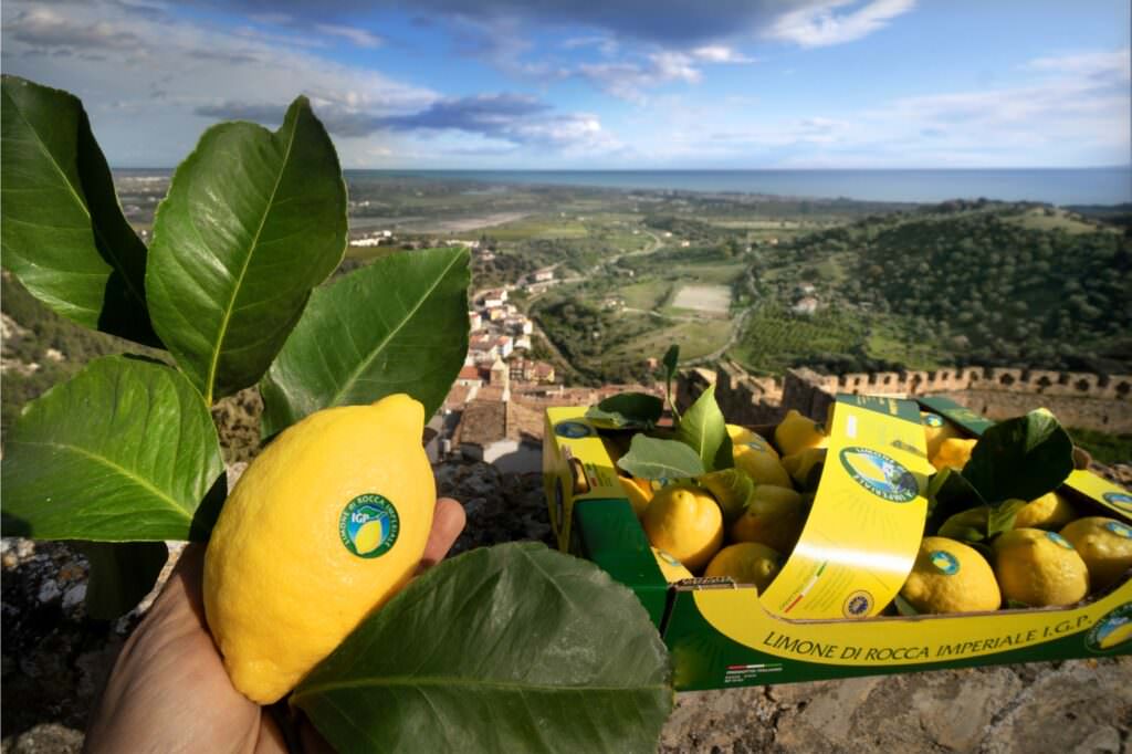 A Rocca Imperiale, una giornata studio dedicata al limone IGP ...