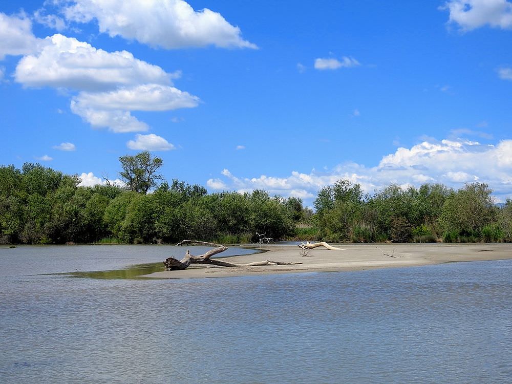 Nella Riserva naturale di Sibari, il centro visite e la sezione del ...