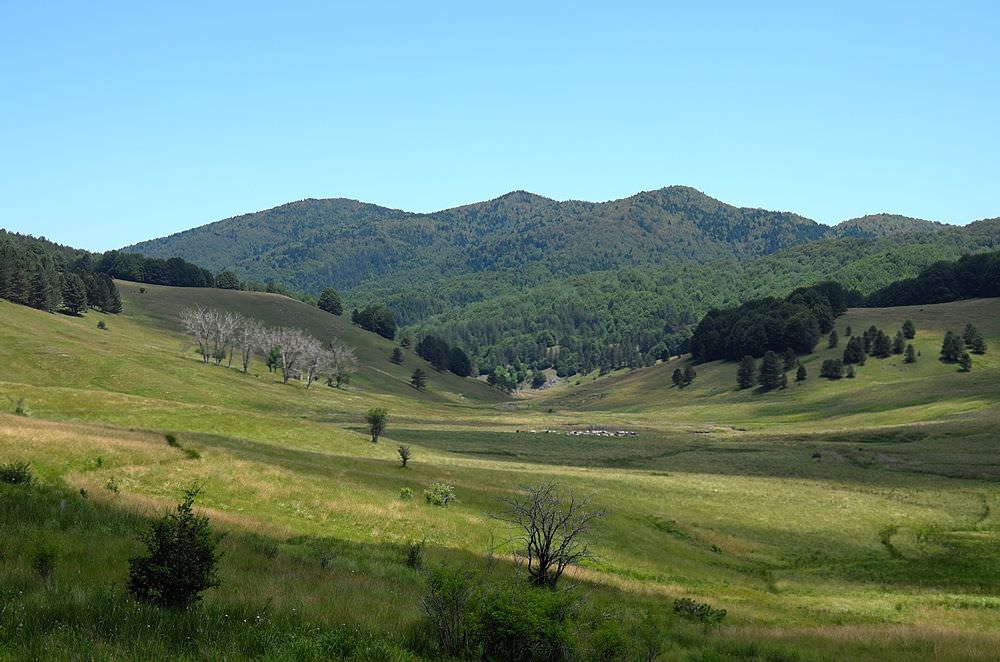 La Valle del Tacina, un tesoro verde nella Sila Piccola • Meraviglie di ...