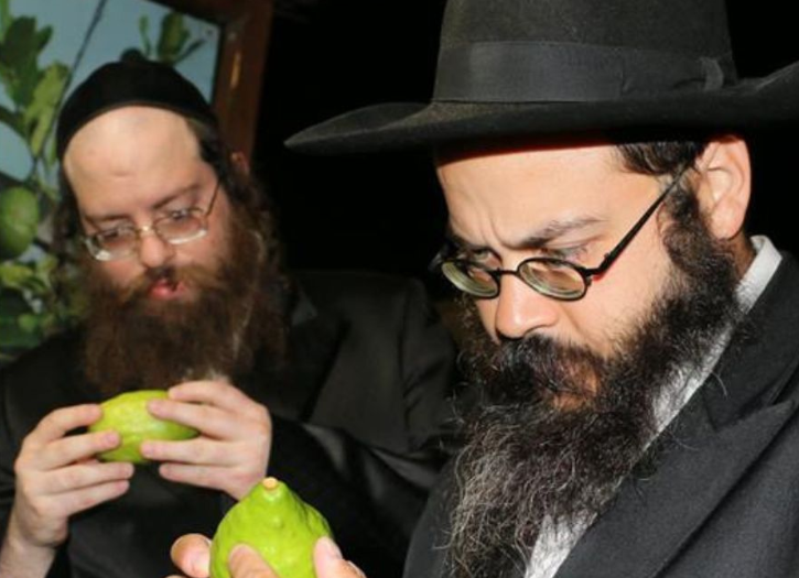 Santa Maria del Cedro si prepara ad accogliere rabbini da tutto il ...