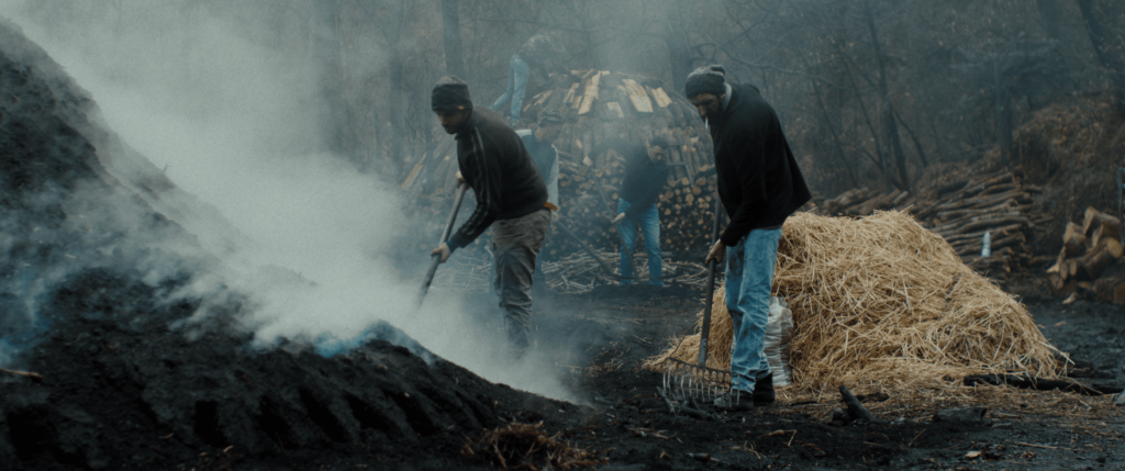 Se la Fuliggine dei carbonai calabresi diventa cinema • Meraviglie di ...