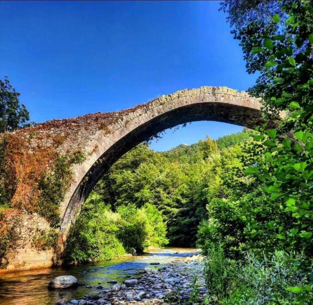 Se la storia si ripete: Annibale vs Roma, sul Ponte Romano di Scigliano ...