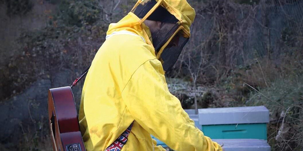 Ultimo brano di Dasp, il musicista calabrese che fa “cantare” le api ...