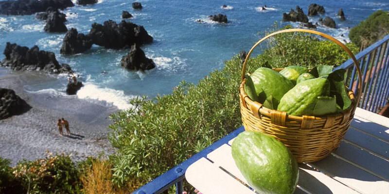 Turismo esperienziale sulla Riviera dei Cedri, il Consorzio del Cedro ...