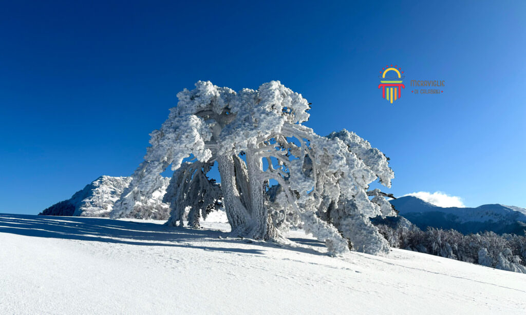 Parco del Pollino, stare a un passo dagli dèi • Meraviglie di Calabria