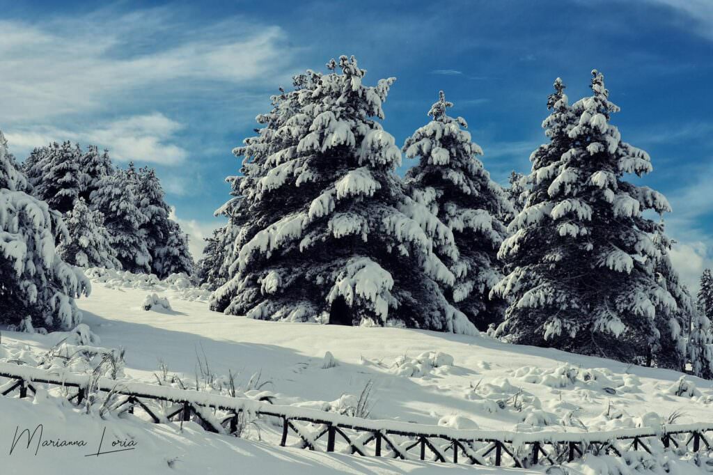 La Sila sulla rivista Bell'Italia, l'inverno magico e inatteso del Sud ...