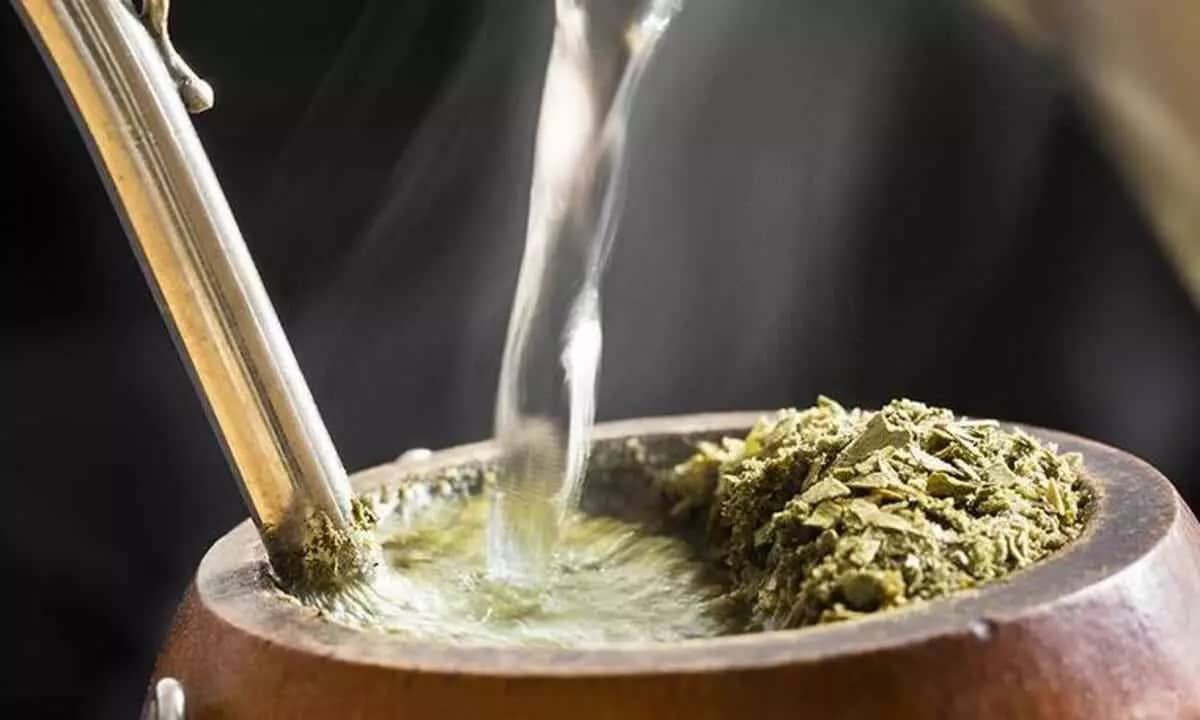 Mate Festival, Lungro celebra l'antica tradizione della bevanda ...